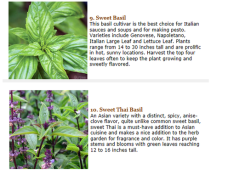 10 Varieties of Basil and Their Uses - Fresh From the Gardens