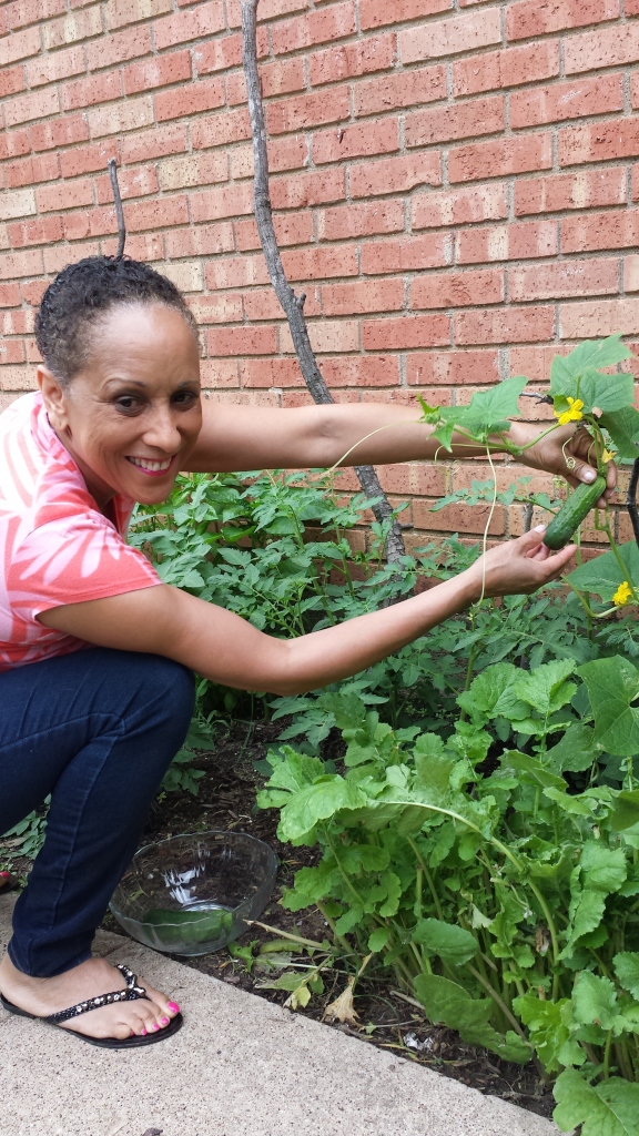 Chef Sandra is in a Pickle! - Fresh From the Gardens